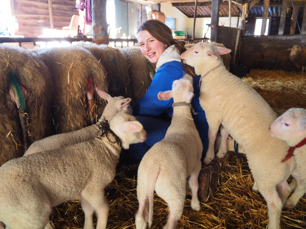 DAGBESTEDING GGZ - Community Farm